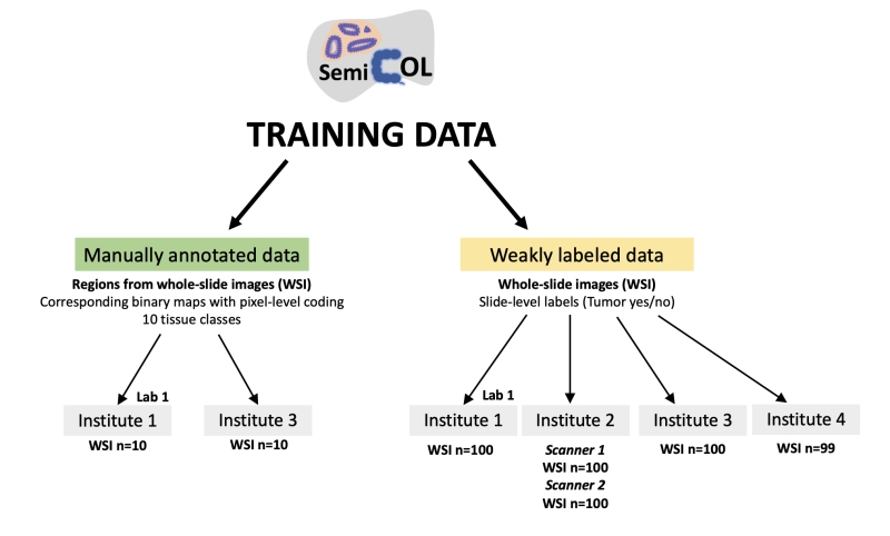 Data | SemiCOL Challenge