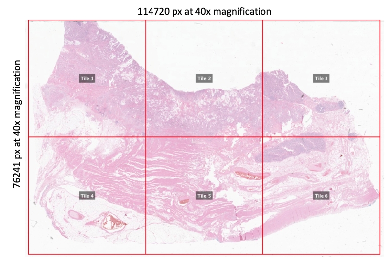 Data | SemiCOL Challenge