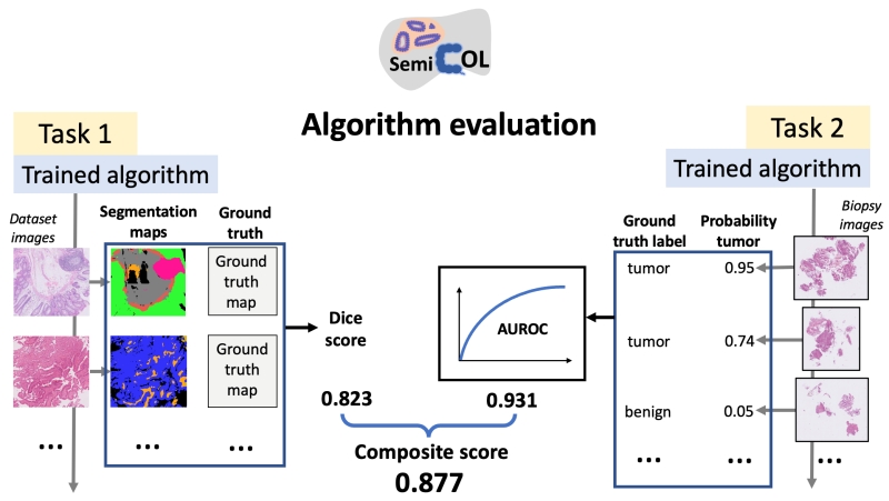 Submission | SemiCOL Challenge